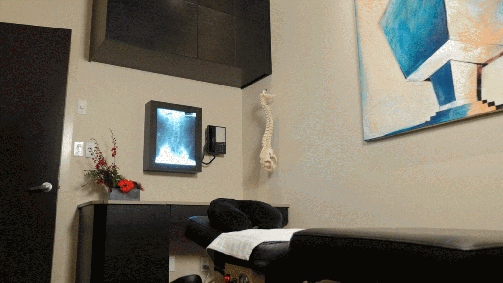 BONES.revised | Dr. Didyk Chiropractic