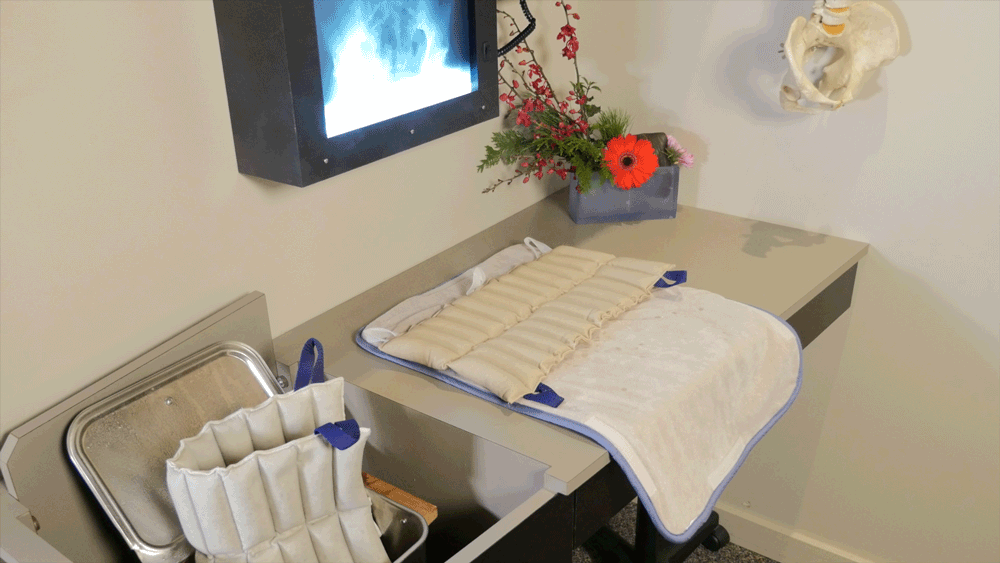 Steam-CG | Dr. Didyk Chiropractic